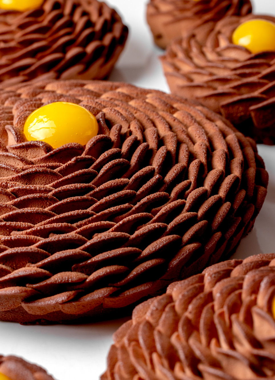 Mandarin Chocolate Flower