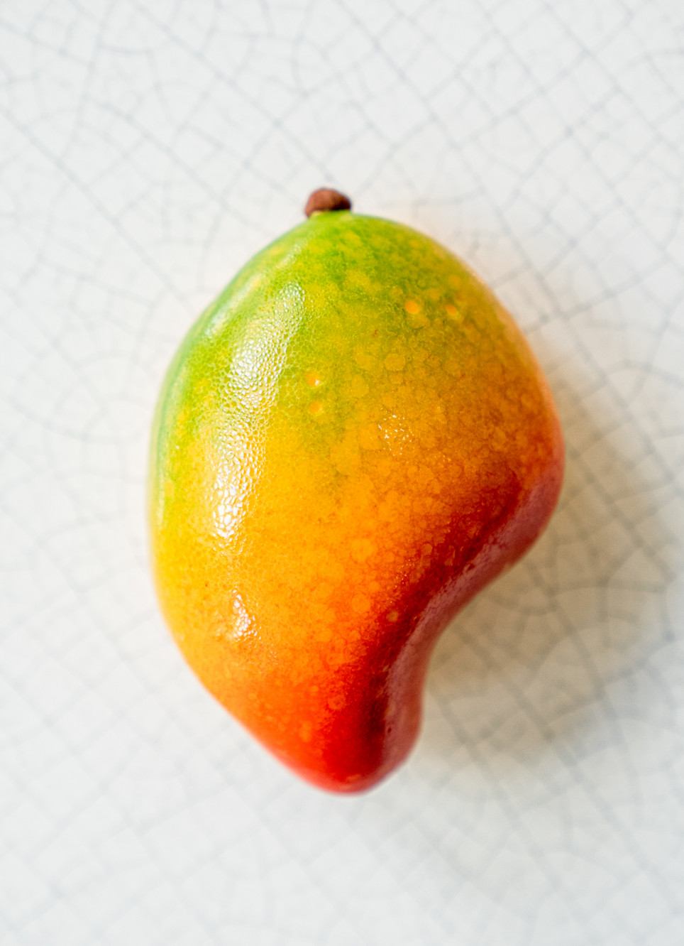 Mangue