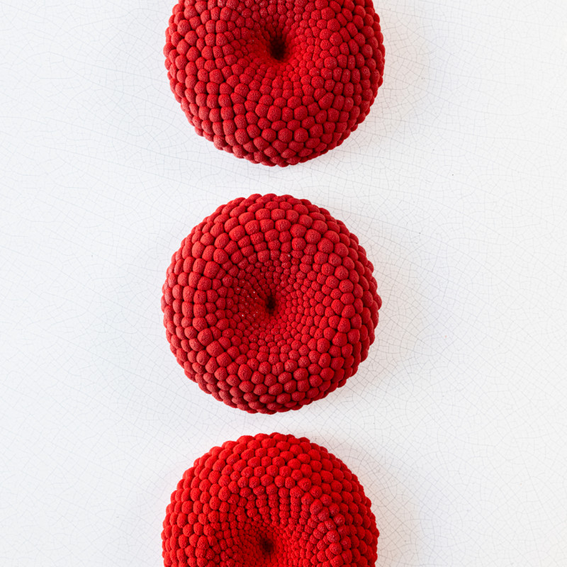Raspberry Cake