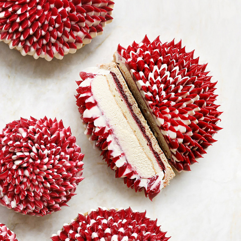 Raspberry Cheesecake flower