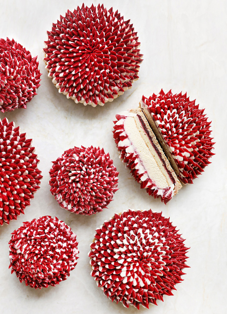 Raspberry Cheesecake flower