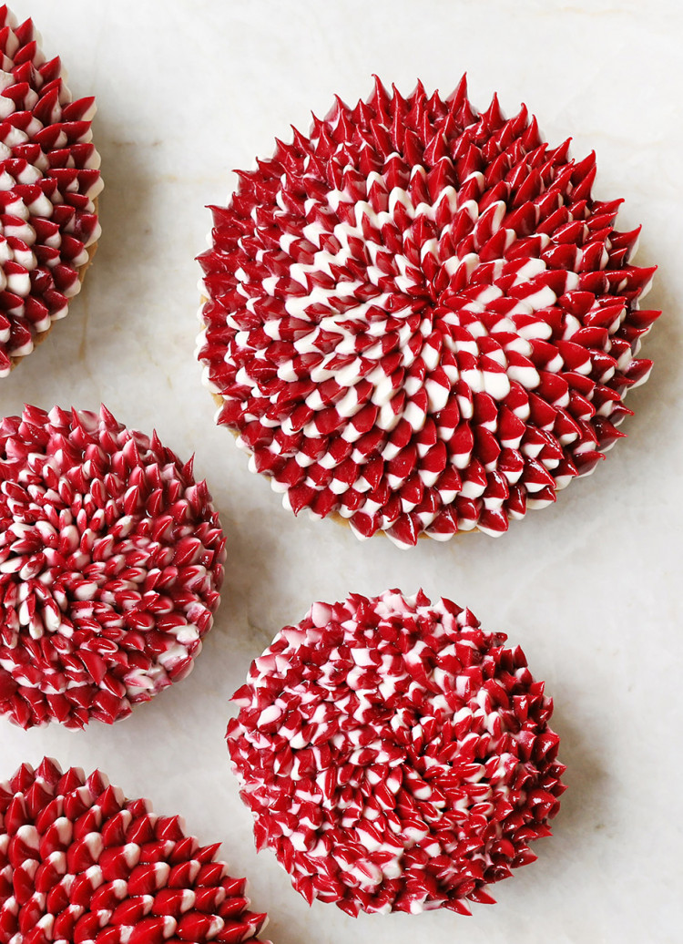 Raspberry Cheesecake flower