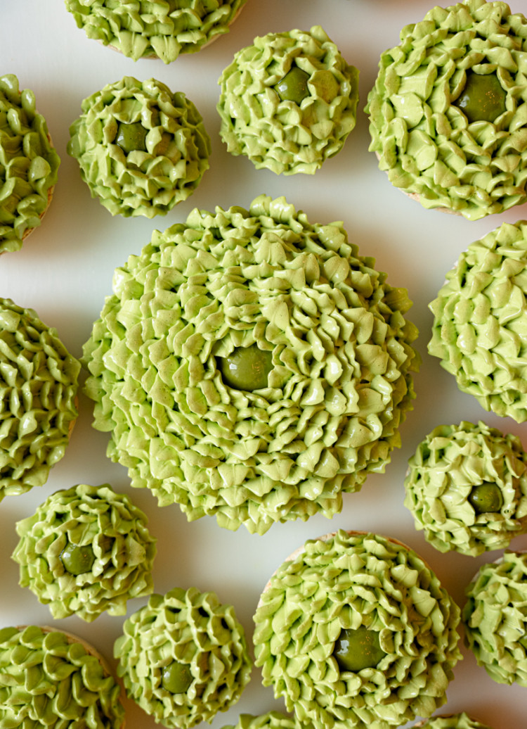 Matcha Mont Blanc Entremet